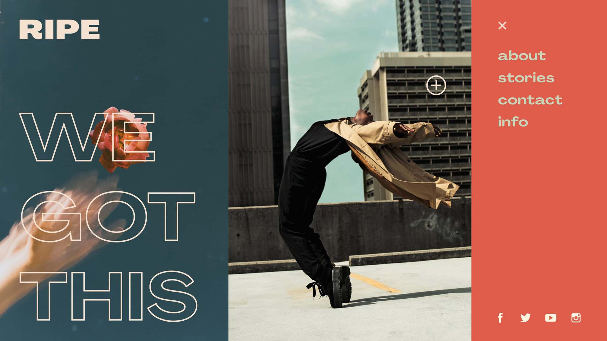 RIPE Brand Identity and Content Design | Saint Urbain